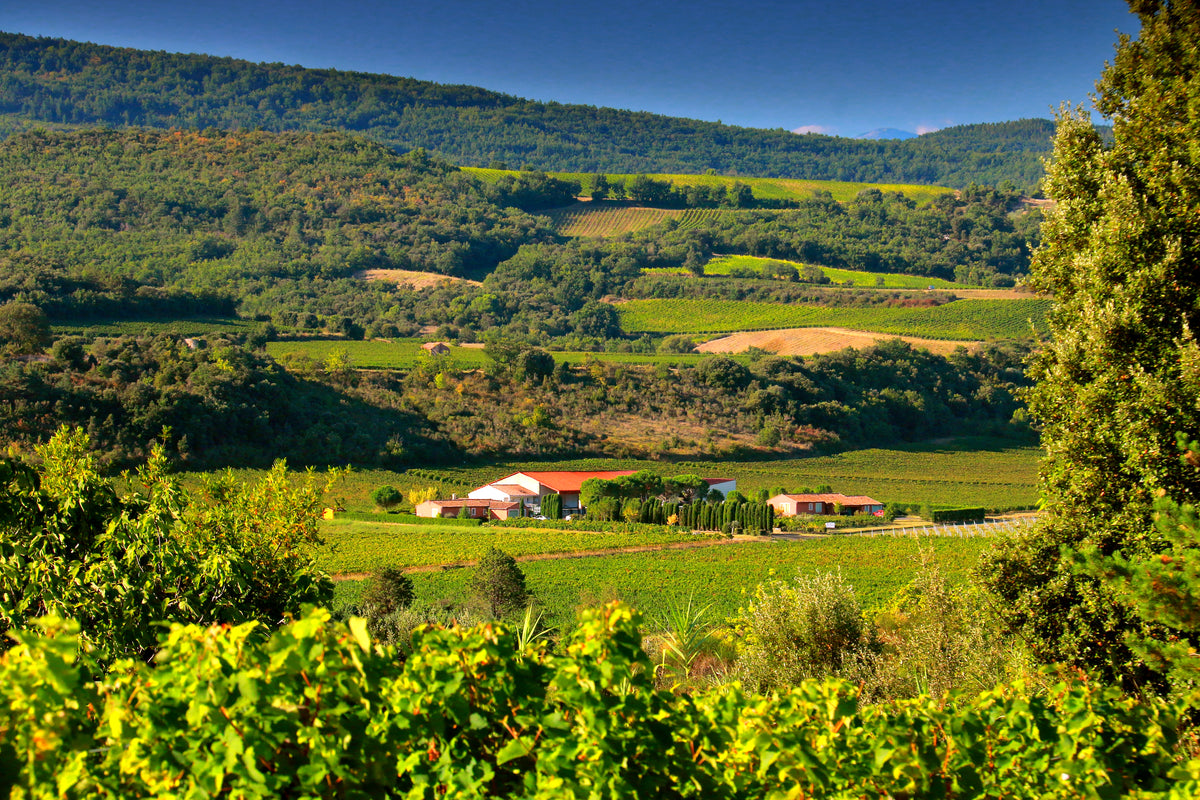 JLAURENS - Domaine JLAURENS - Domaine Laurens - Laurens - Crémant ...